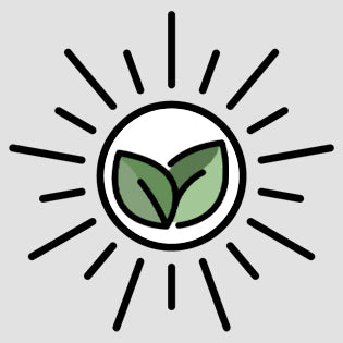 Winter Tree Finder: Identifying Deciduous Trees of Eastern North Ameri ...