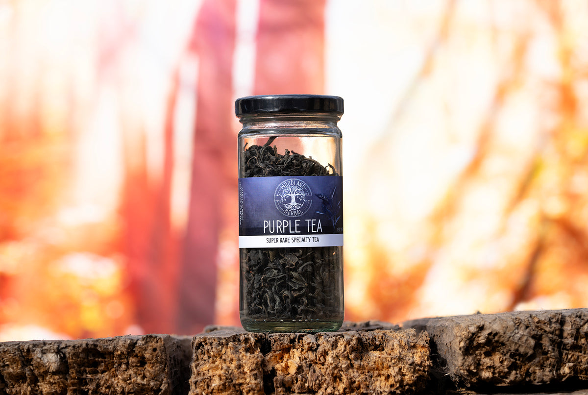Purple Tea - Rare Specialty Organic Tea, 1.5oz – Woodland Herbal